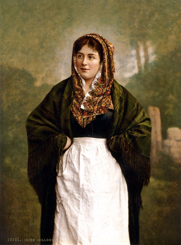 The Bibliography of Irish Women’s History | Women's History Association ...